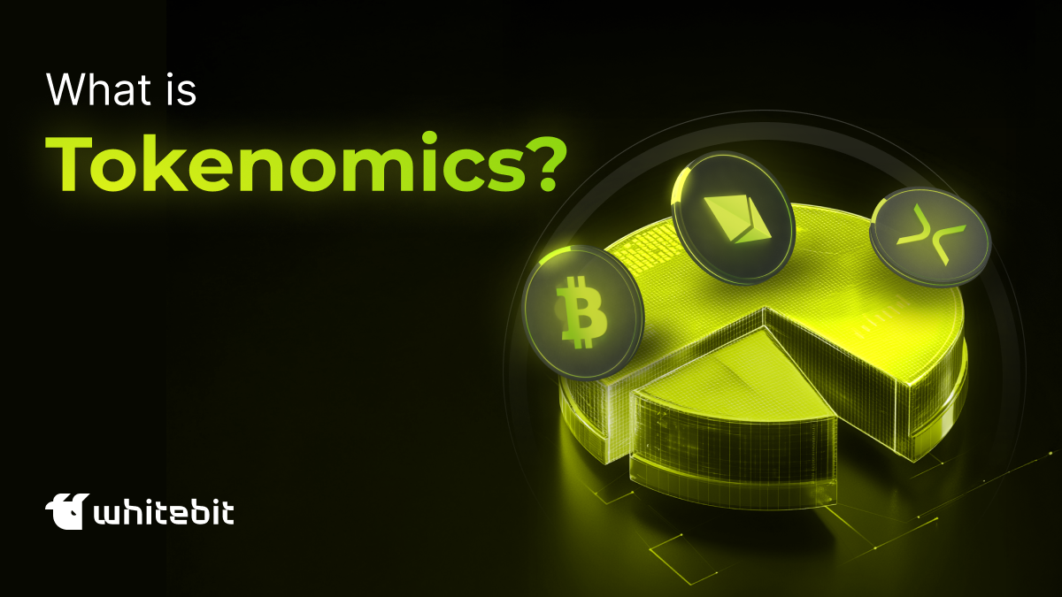 What Is Tokenomics In Crypto | How To Analyse Tokenomics | WhiteBIT AU Blog