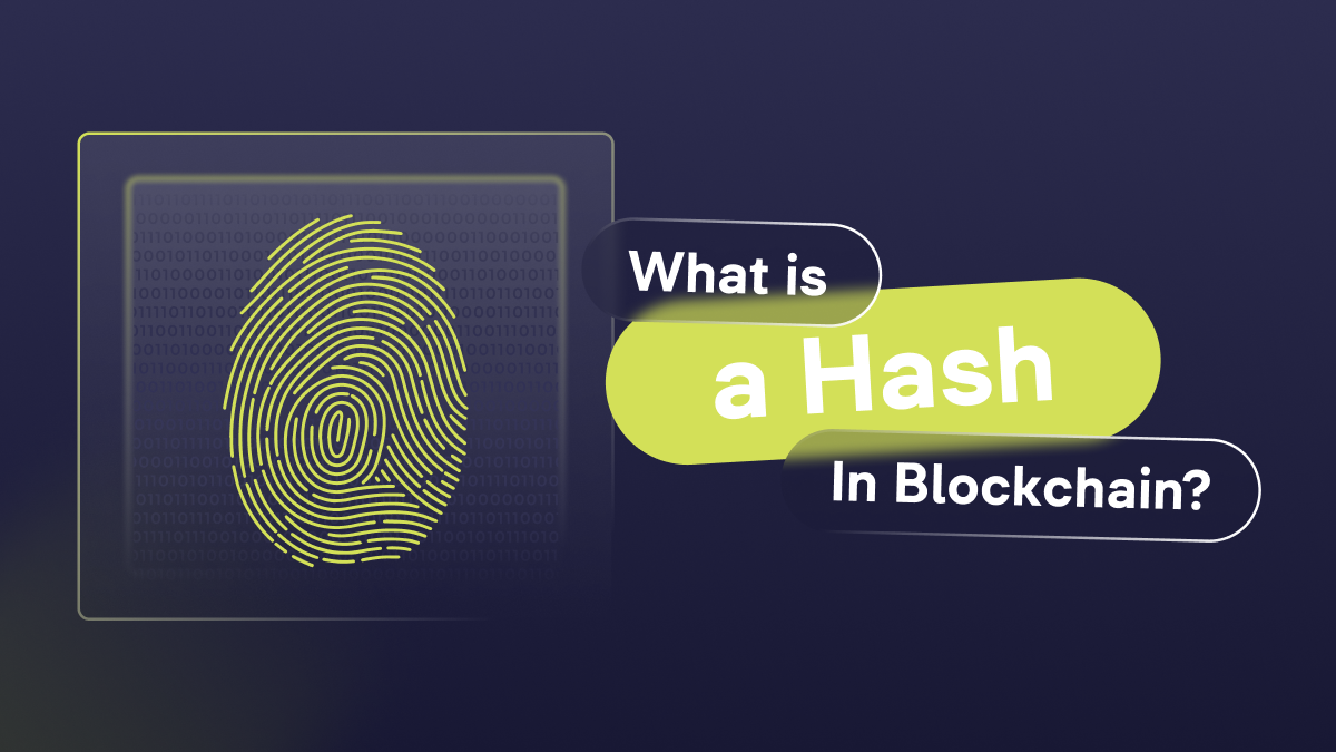What Is A Hash And Hash Function: Their Role In Crypto | WhiteBIT AU Blog