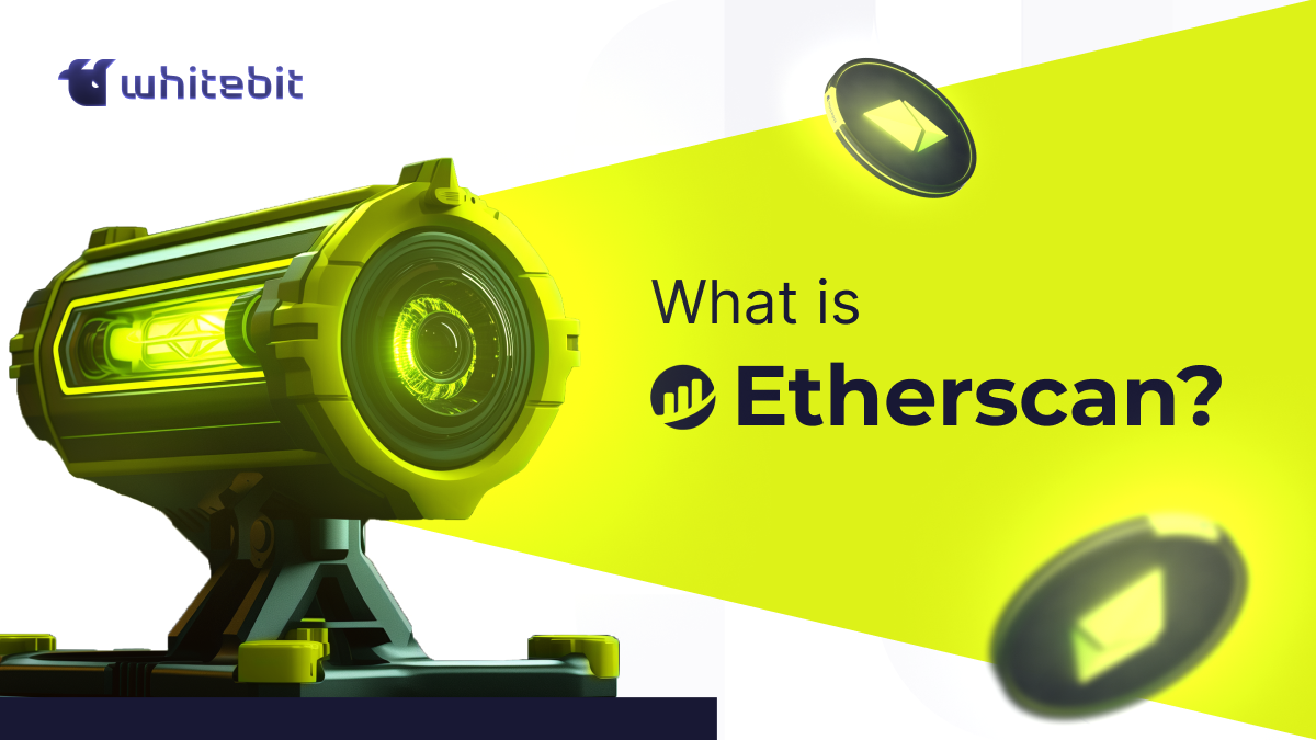 How To Use Etherscan What Is It And How To Check Transaction On Etherscan Whitebit Au Blog